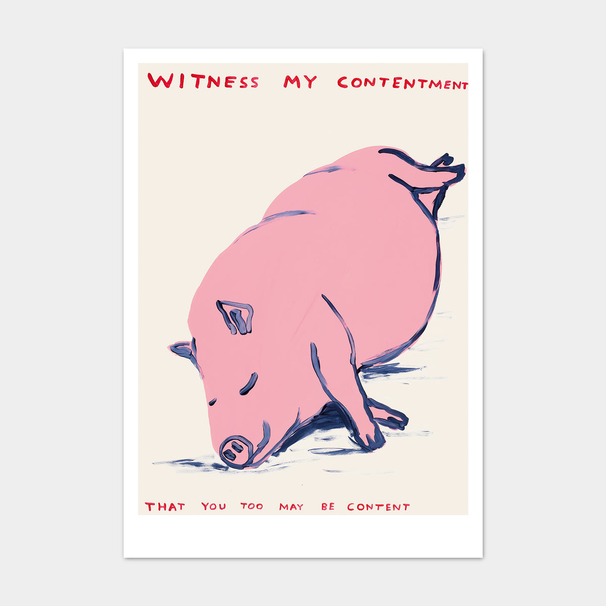 Witness My Contentment – David Shrigley Postcard | Shrig Shop