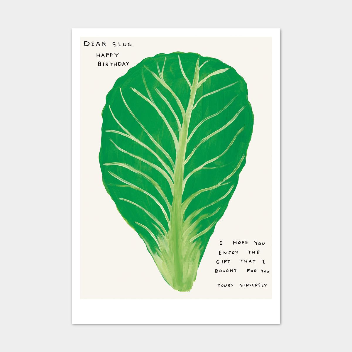David Shrigley Postcards - Dear Slug, Happy Birthday – Shrig Shop